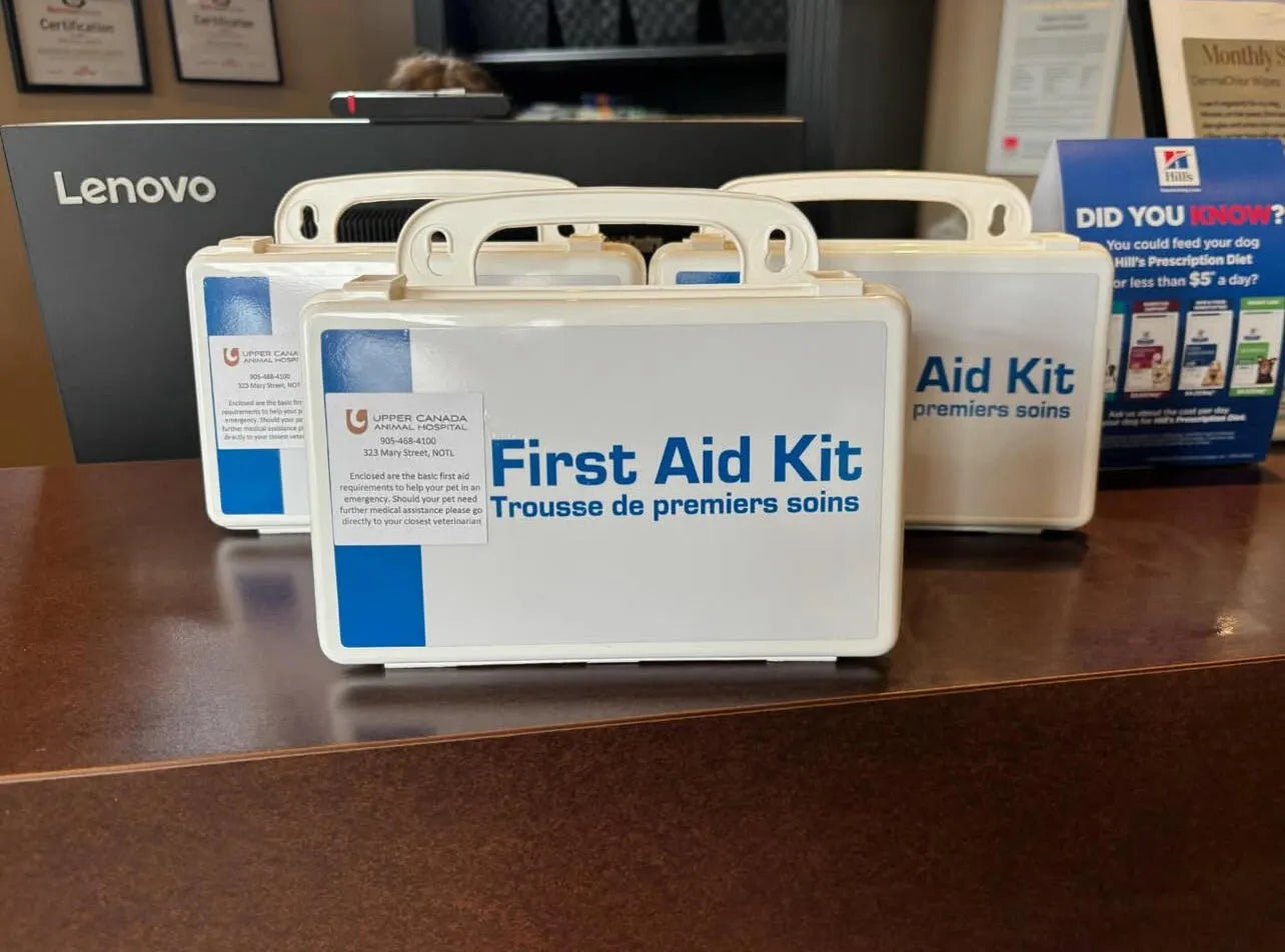 How to Build a Cat First Aid Kit at Home (Checklist + Vet Guide ...